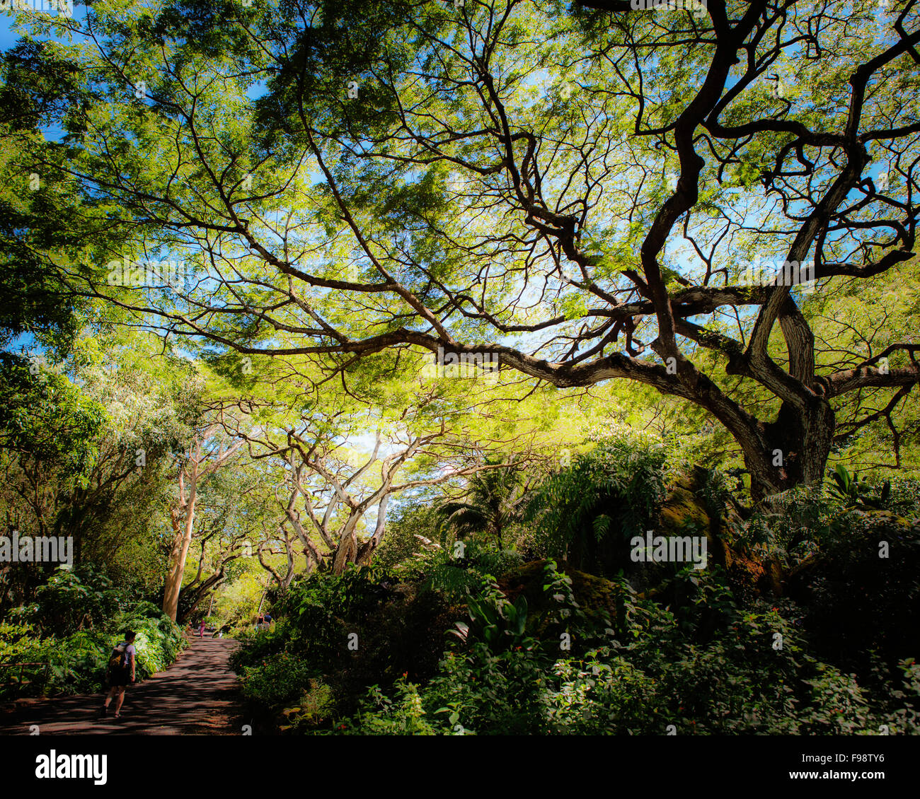 A path through a scenic park Stock Photo - Alamy