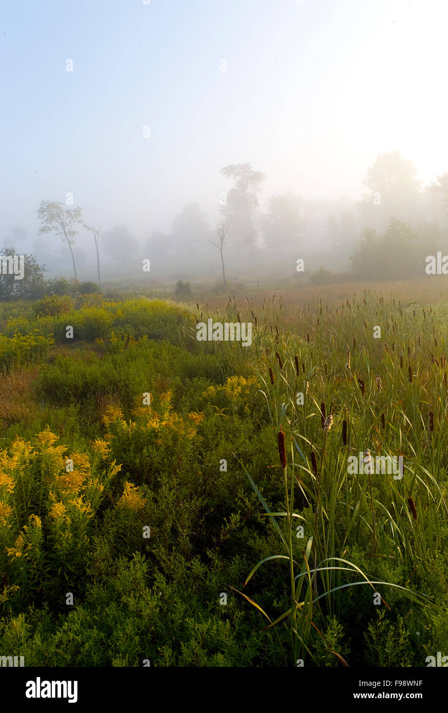 Hay fields hi-res stock photography and images - Alamy