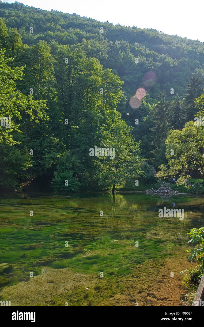 lake in pure, nature Stock Photo - Alamy