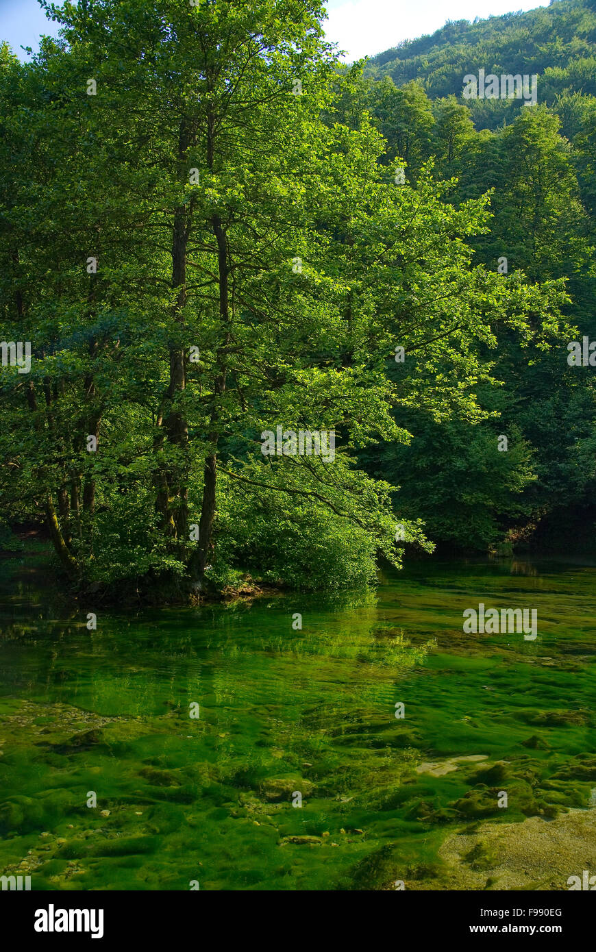 lake in pure, nature Stock Photo - Alamy