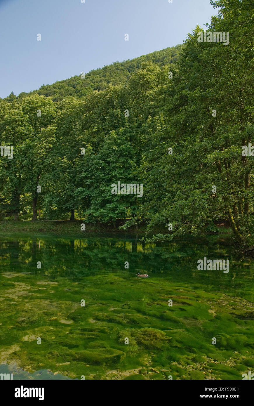 lake in pure, nature Stock Photo - Alamy