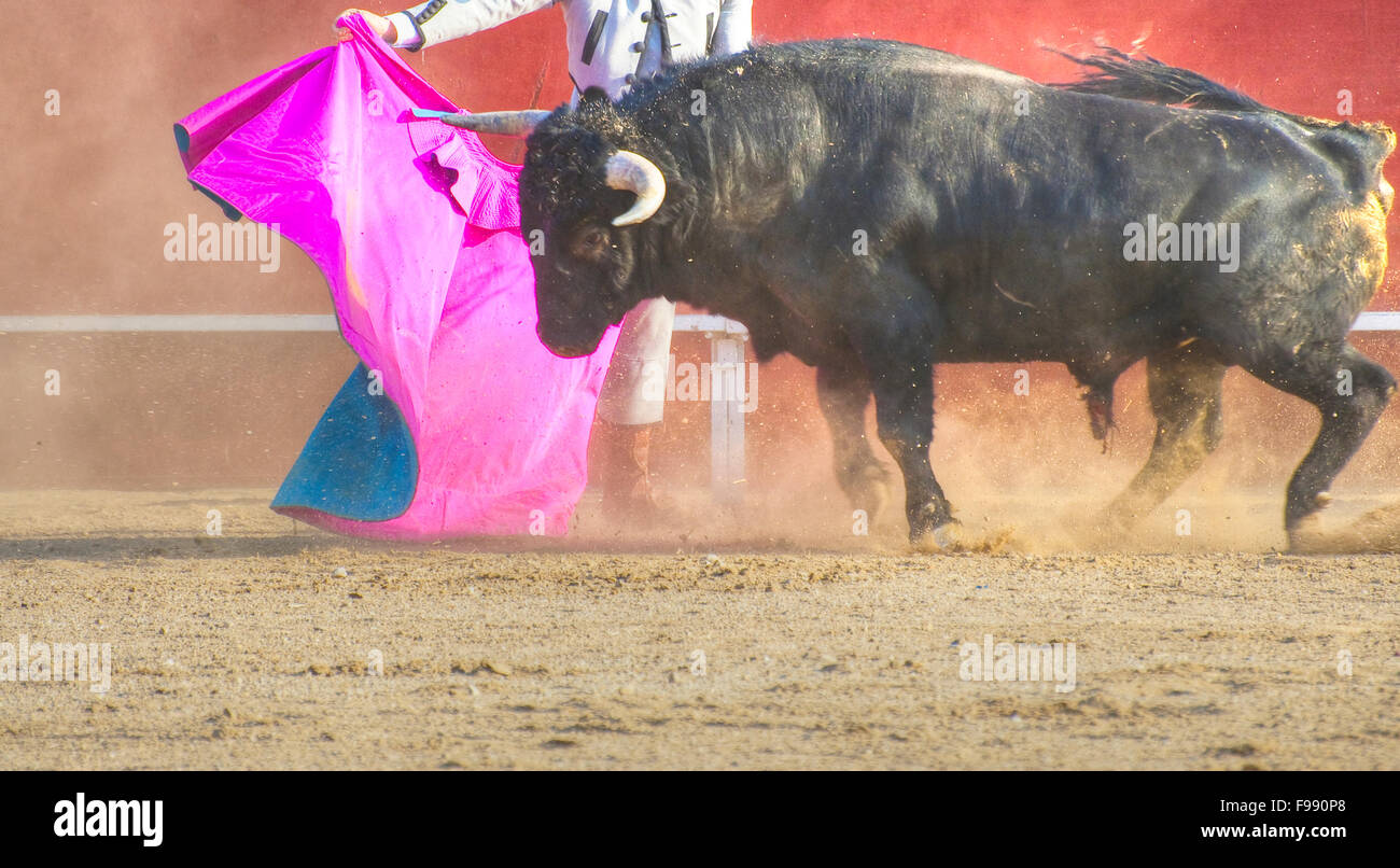 Bull fighting arena hi-res stock photography and images - Alamy
