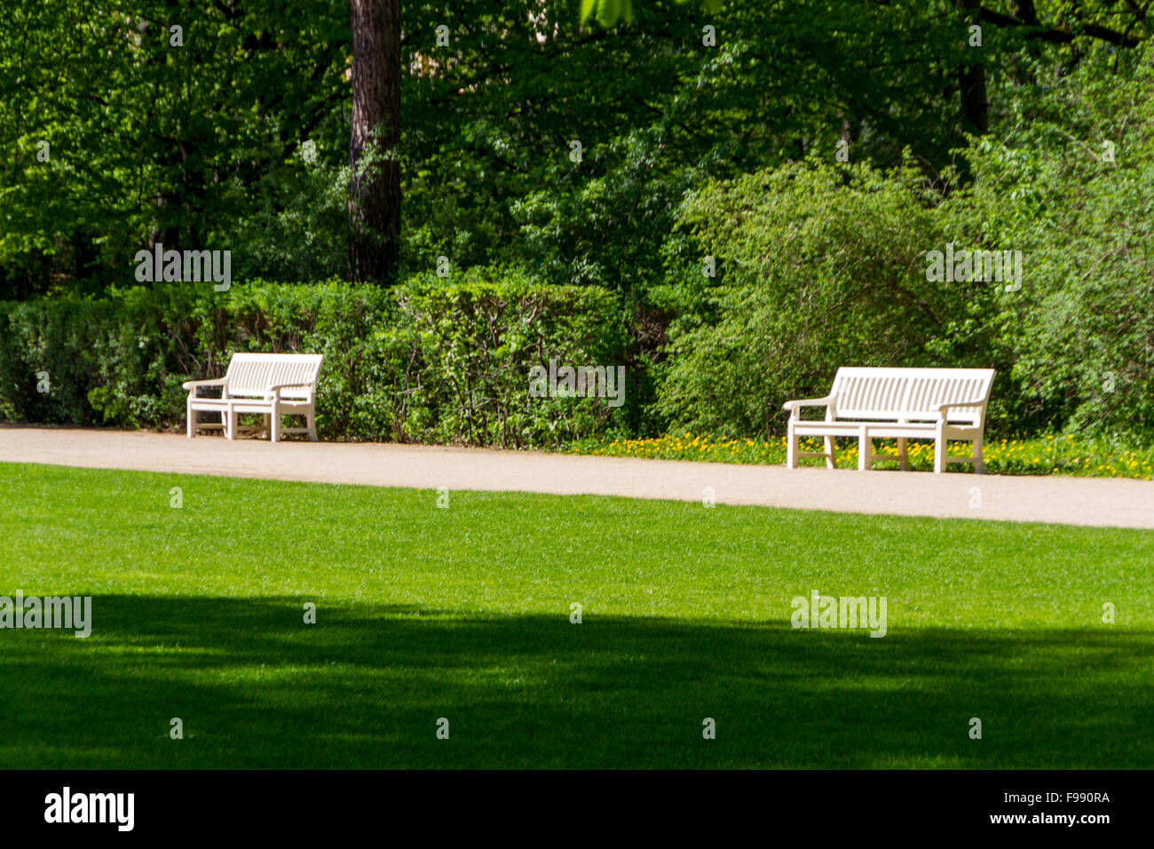 summer park, trees Stock Photo - Alamy