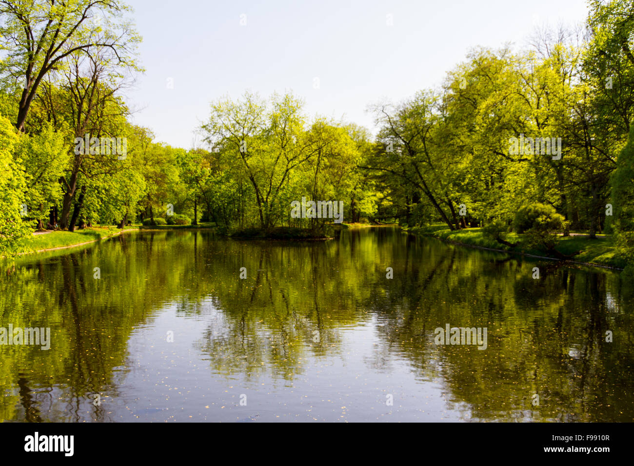 summer park, trees Stock Photo - Alamy