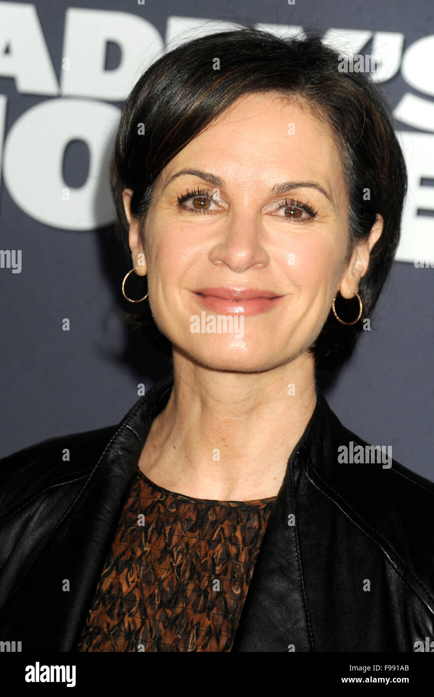 Elizabeth Vargas bei der Premiere des Kinofilms 'Daddy's Home - Ein ...