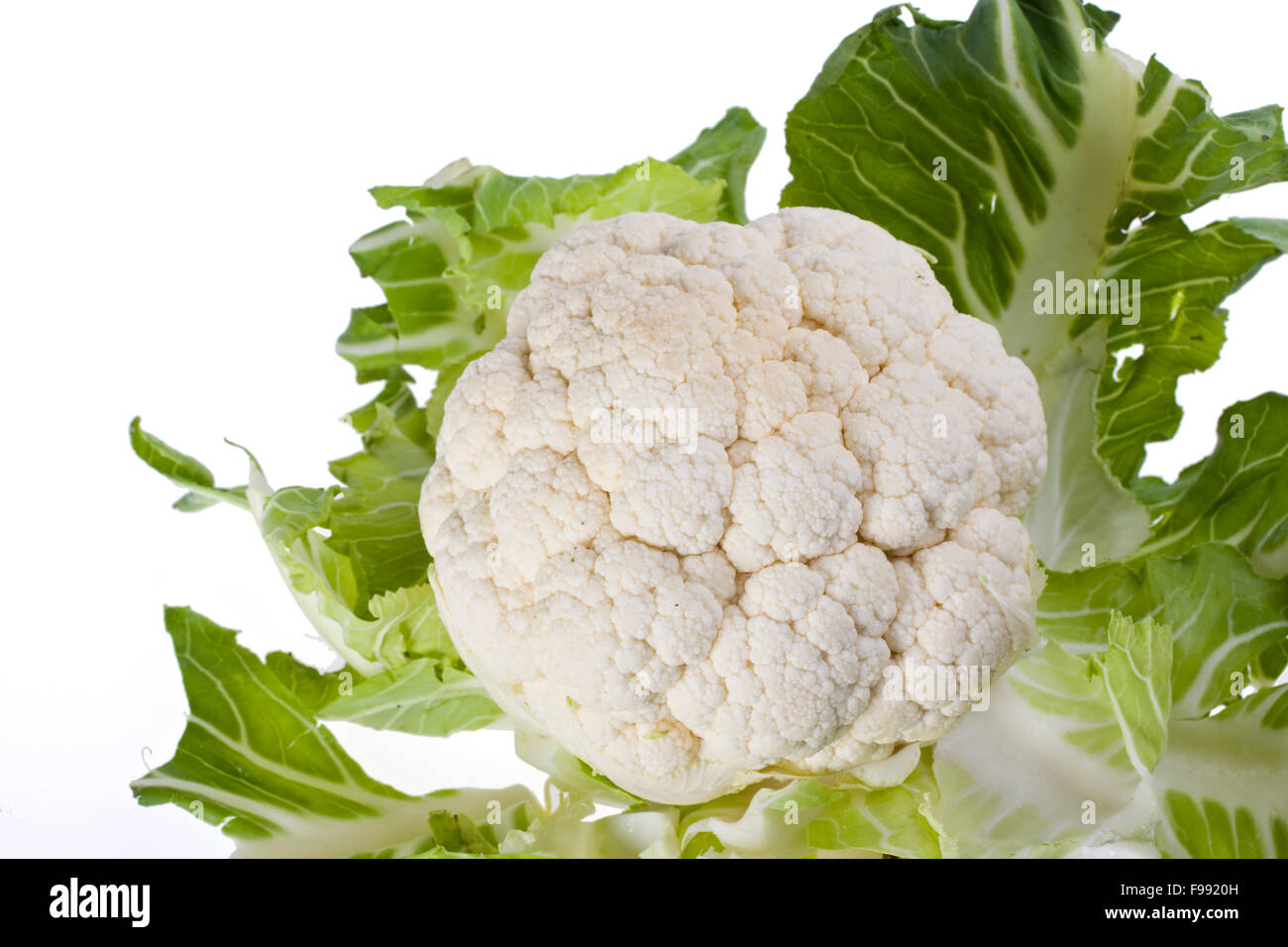 single cauliflower vegetable isolated on white Stock Photo - Alamy