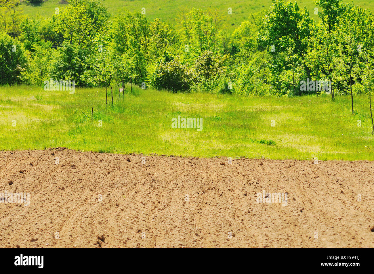 tractor trails with ground and grass background representing ...