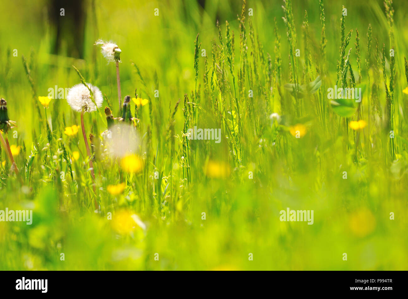 beautiful sunset in nature landscape with scenic colors Stock Photo - Alamy