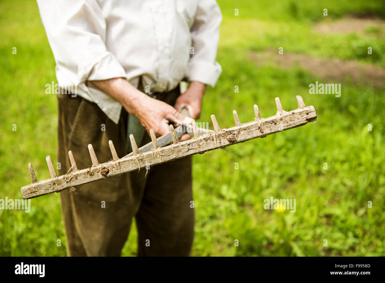 Old farmer with beard working with rake in garden Stock Photo - Alamy