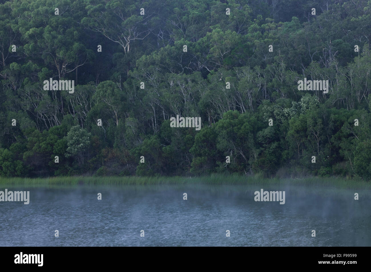 Wabby lake hi-res stock photography and images - Alamy