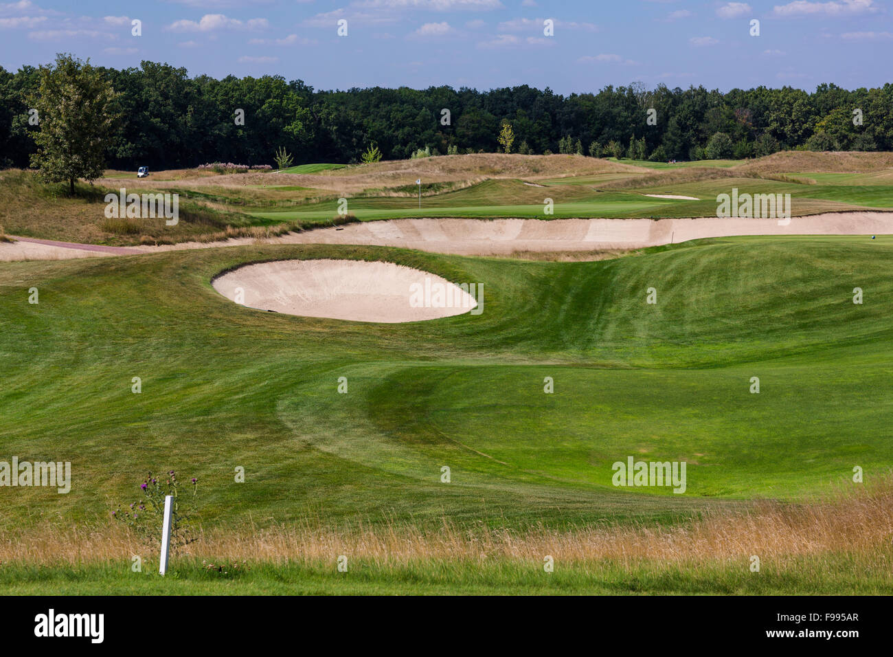 Perfect wavy ground with nice green grass on a golf field Stock Photo ...