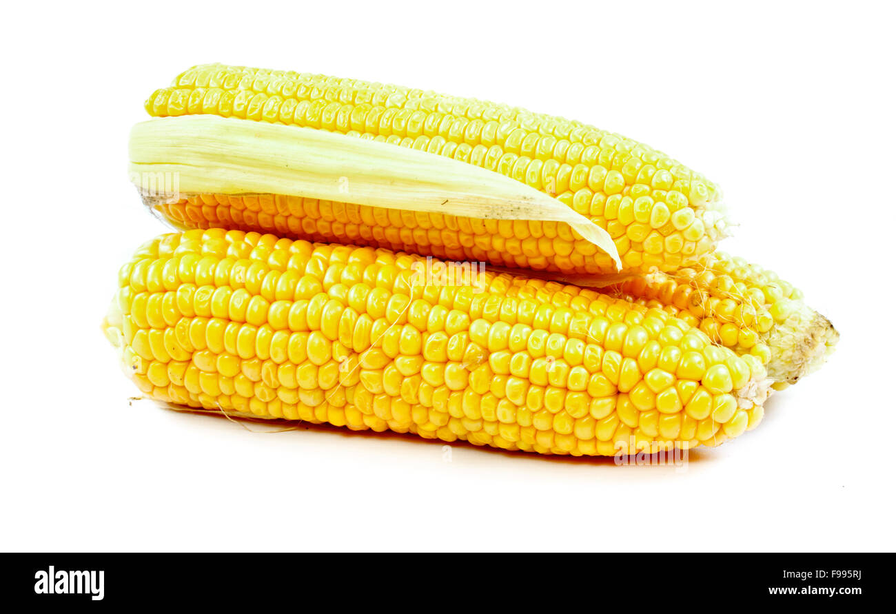 corn on cob isolated on white background Stock Photo - Alamy