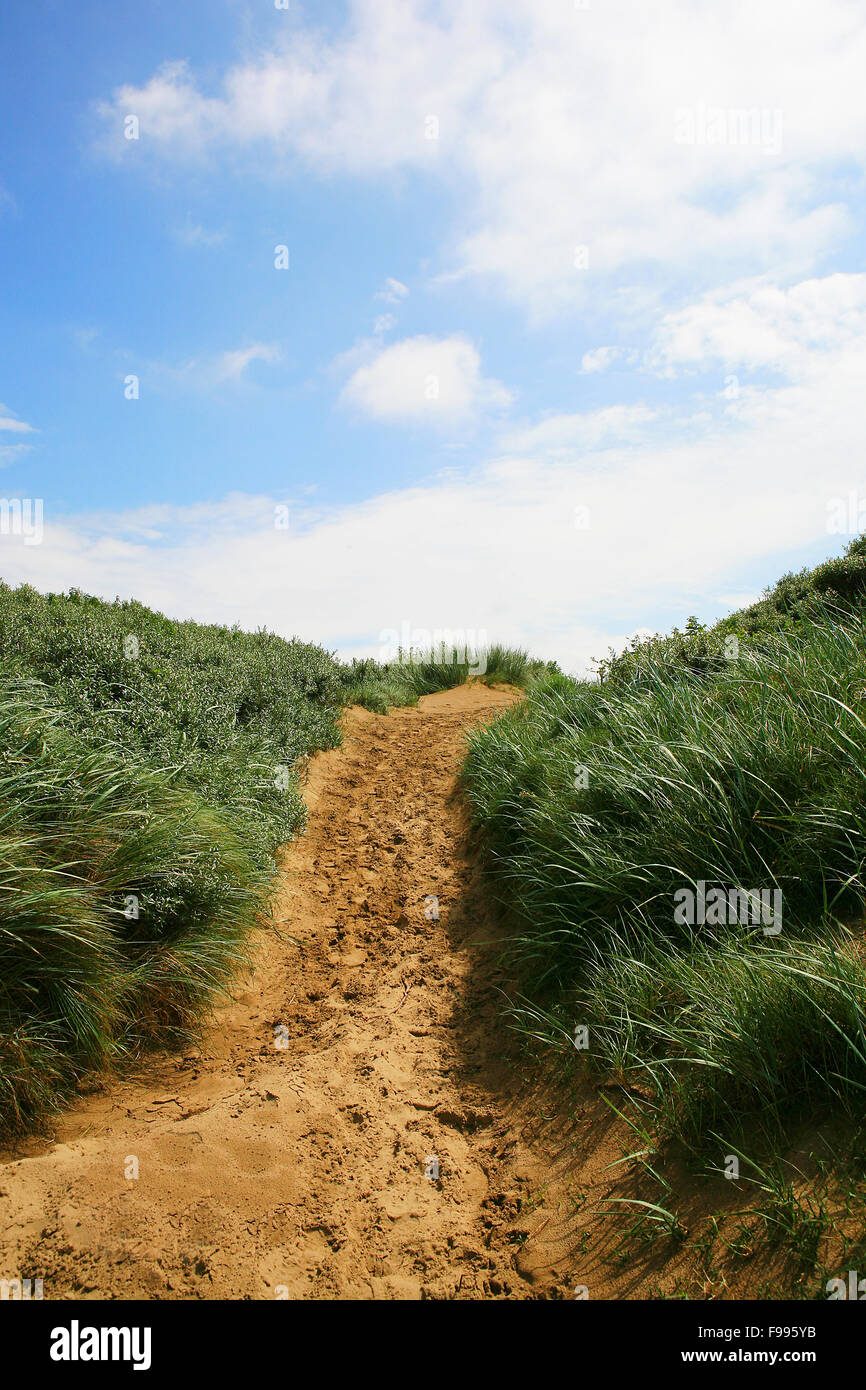 Sand Dune track Stock Photo - Alamy