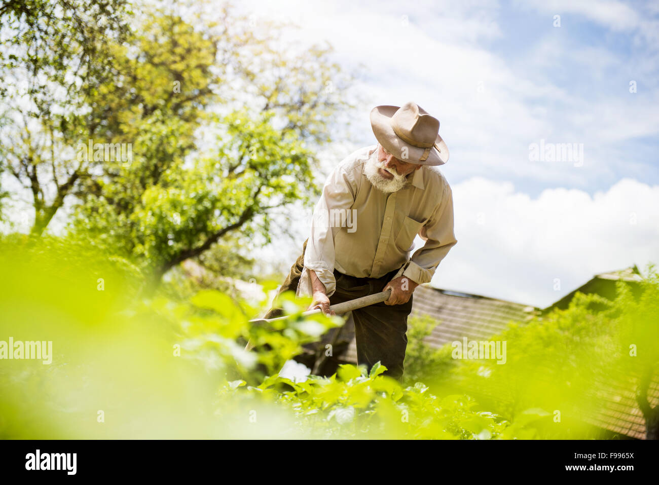 Farmer with hoe hi-res stock photography and images - Alamy