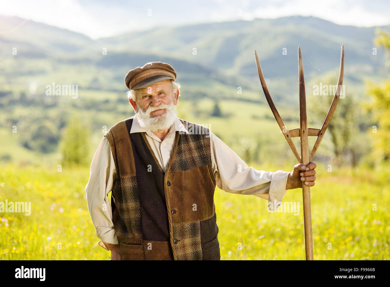 Old farmer with beard and hat is holding hayfork in meadow Stock Photo ...