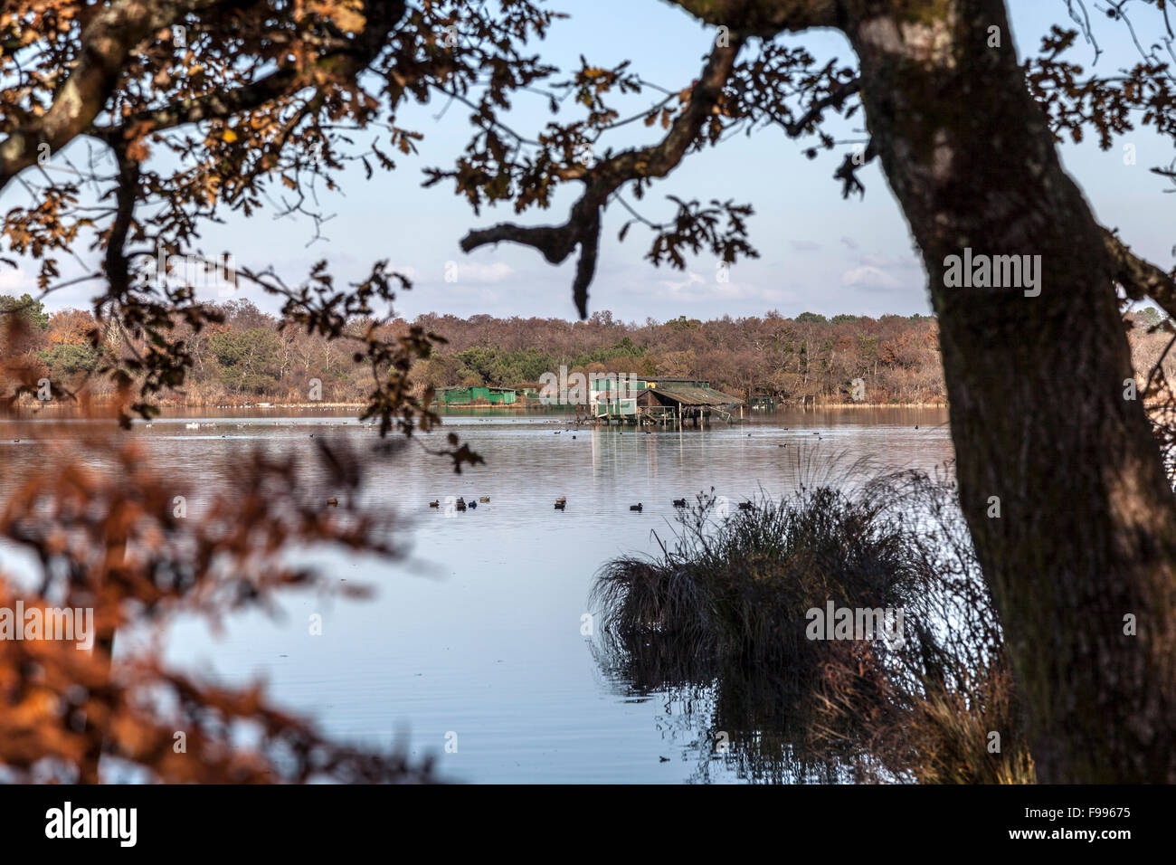 In the Autumn - about a dozen of others - a duck hunting hut on the ...
