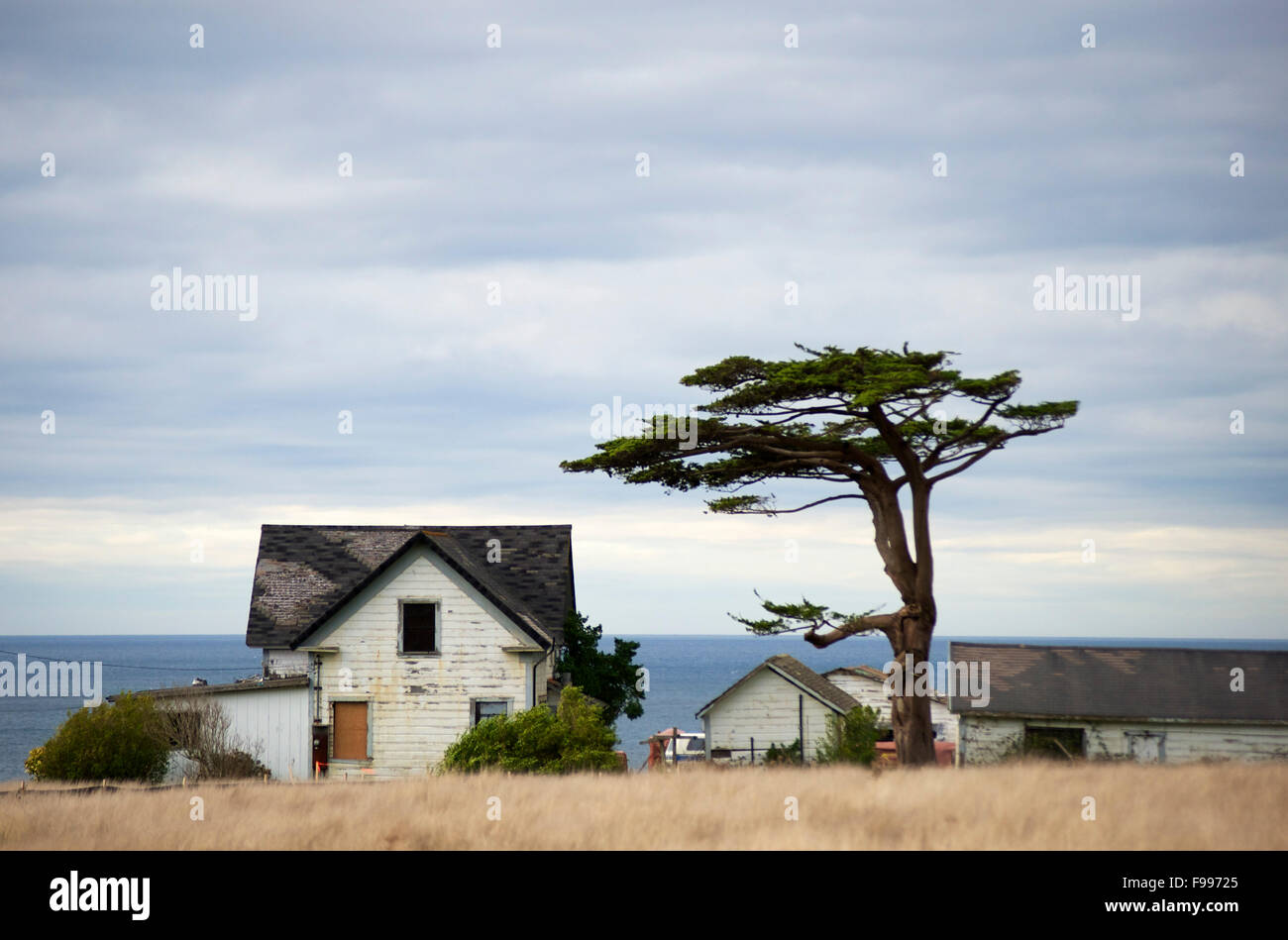 Landscape of an old house and tree overlooking the Pacific Ocean in ...