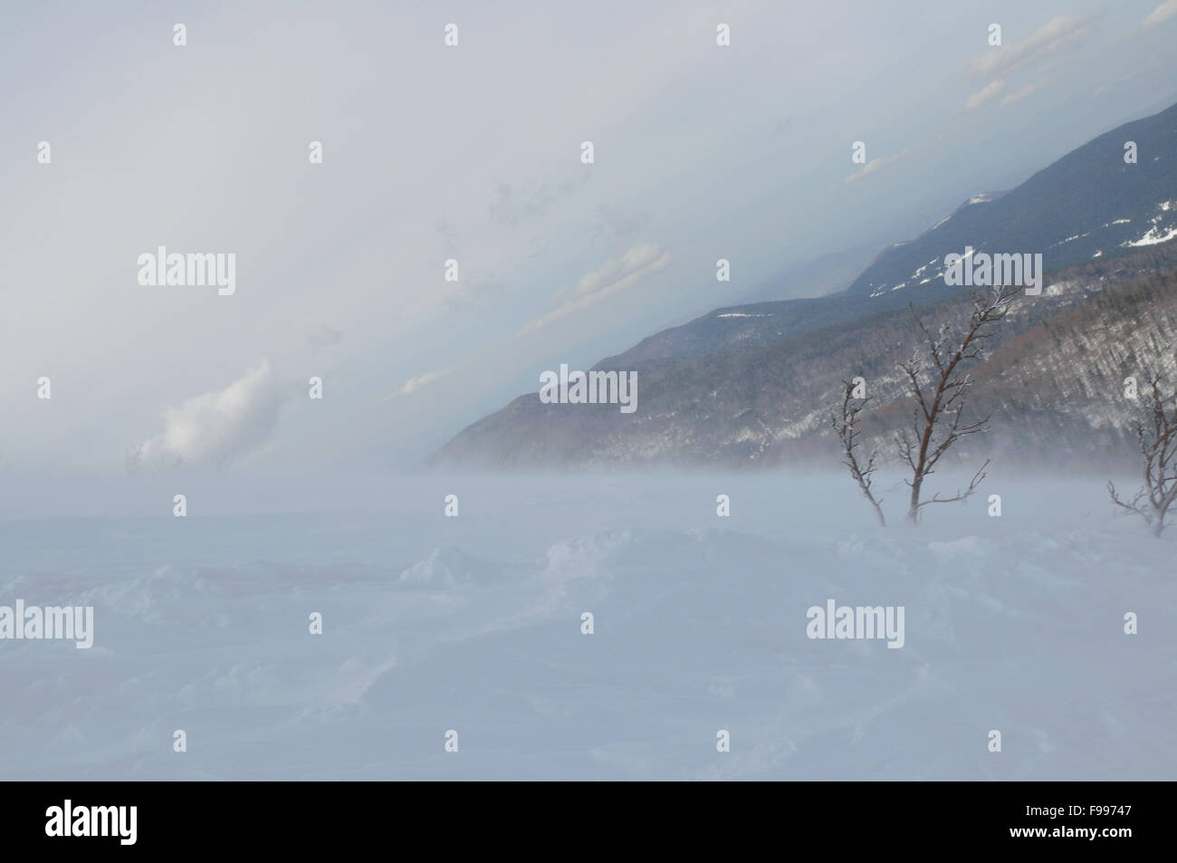 beautiful winter season landscape with ice snow and hard winds Stock ...