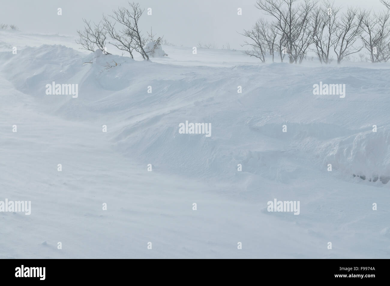 beautiful winter season landscape with ice snow and hard winds Stock ...