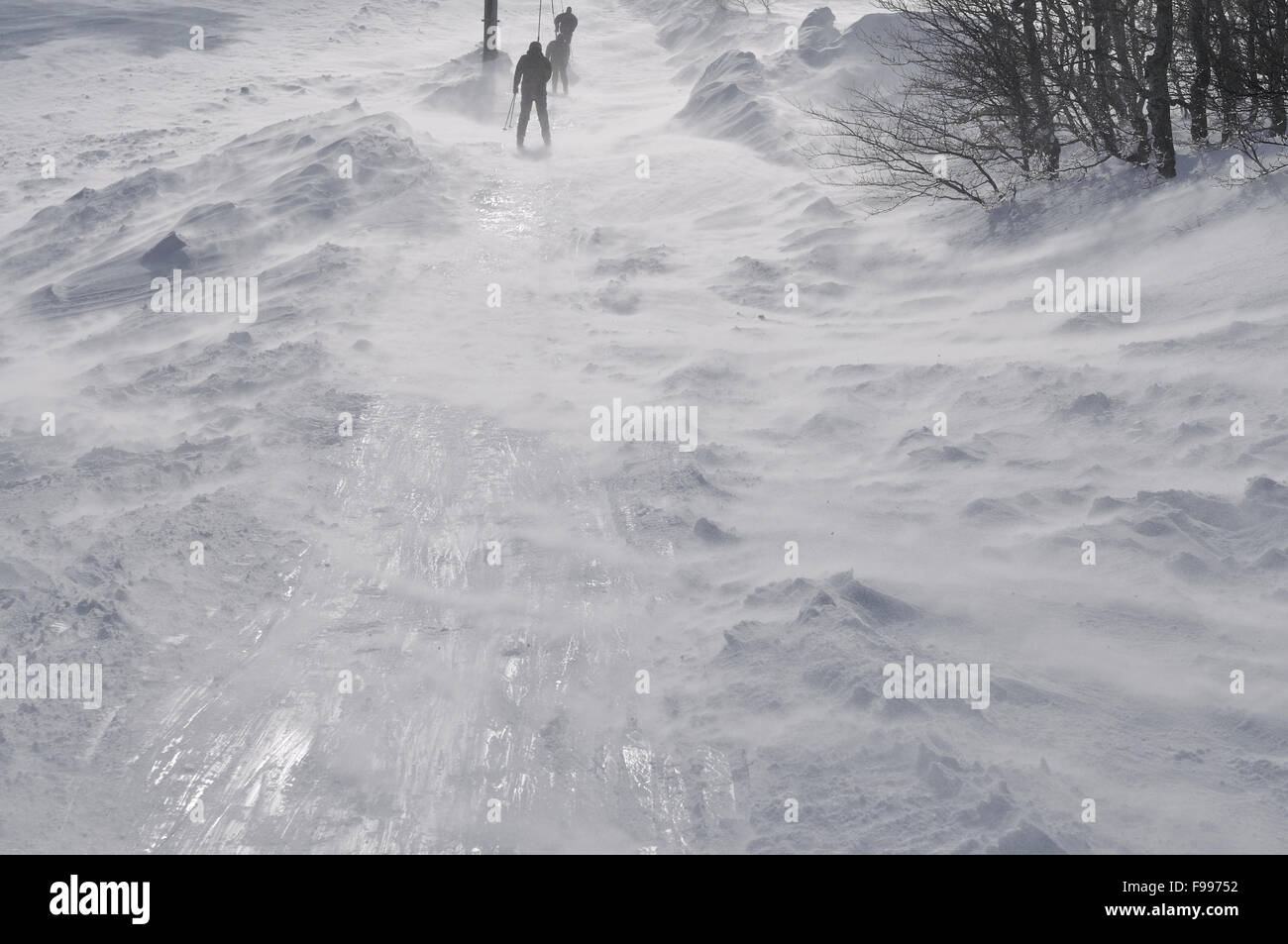 beautiful winter season landscape with ice snow and hard winds Stock ...