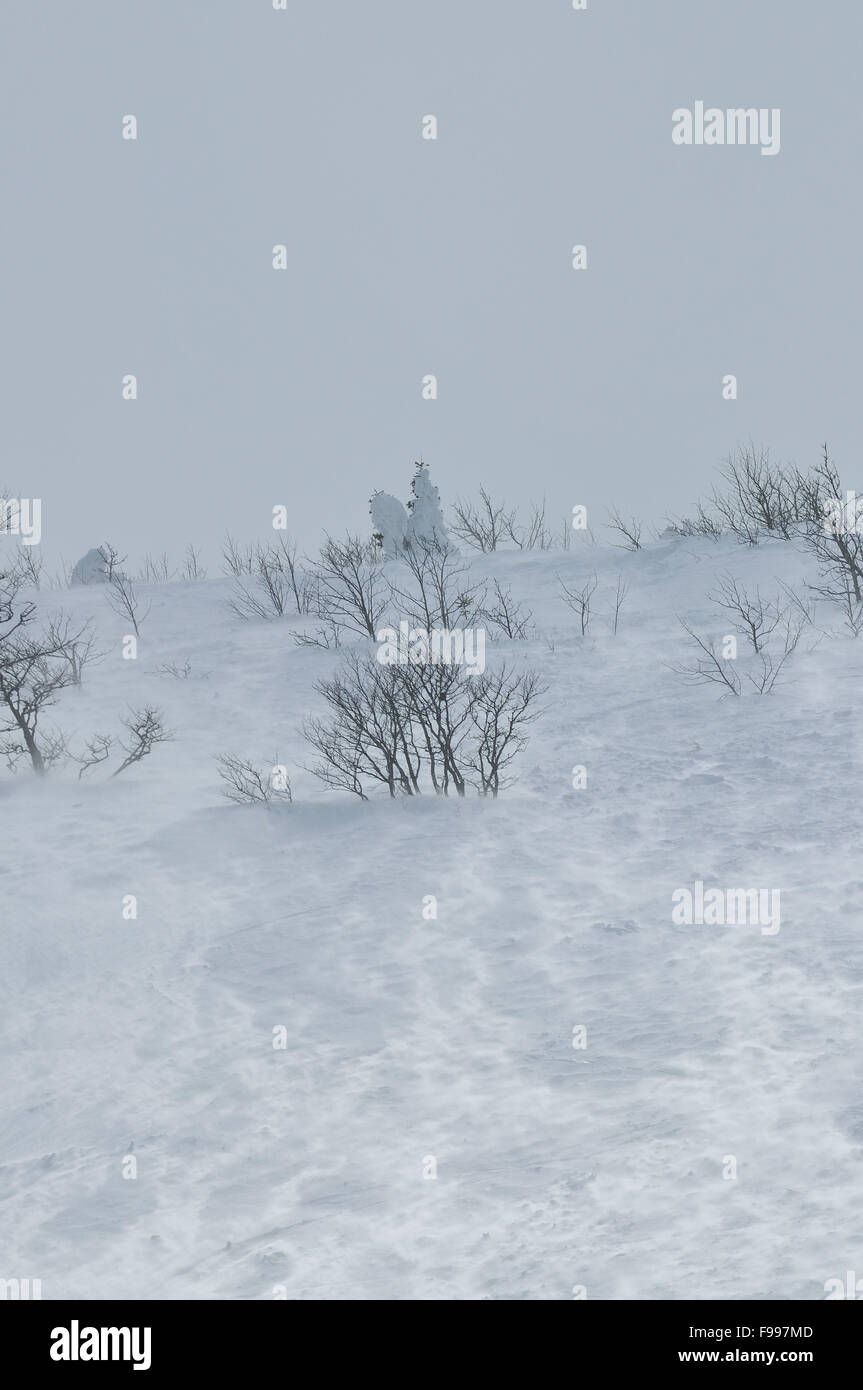 beautiful winter season landscape with ice snow and hard winds Stock ...