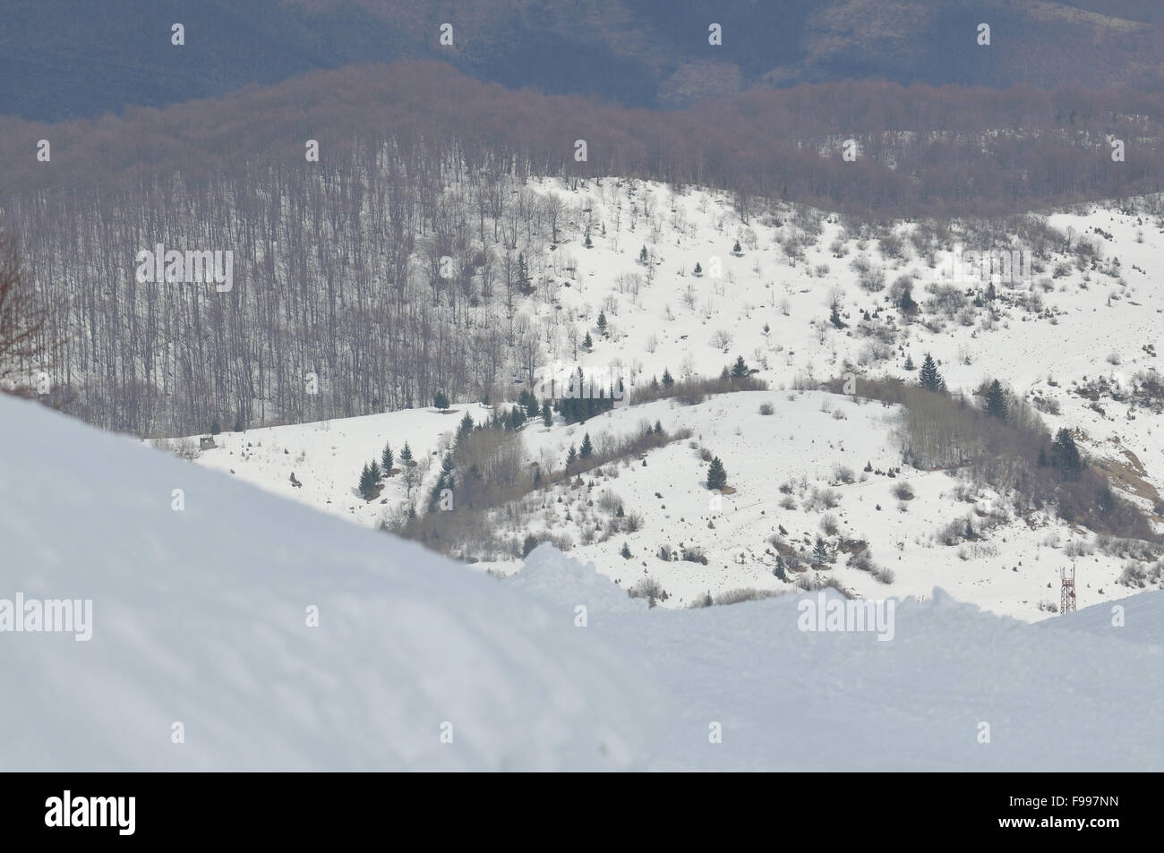 beautiful winter season landscape with ice snow and hard winds Stock ...