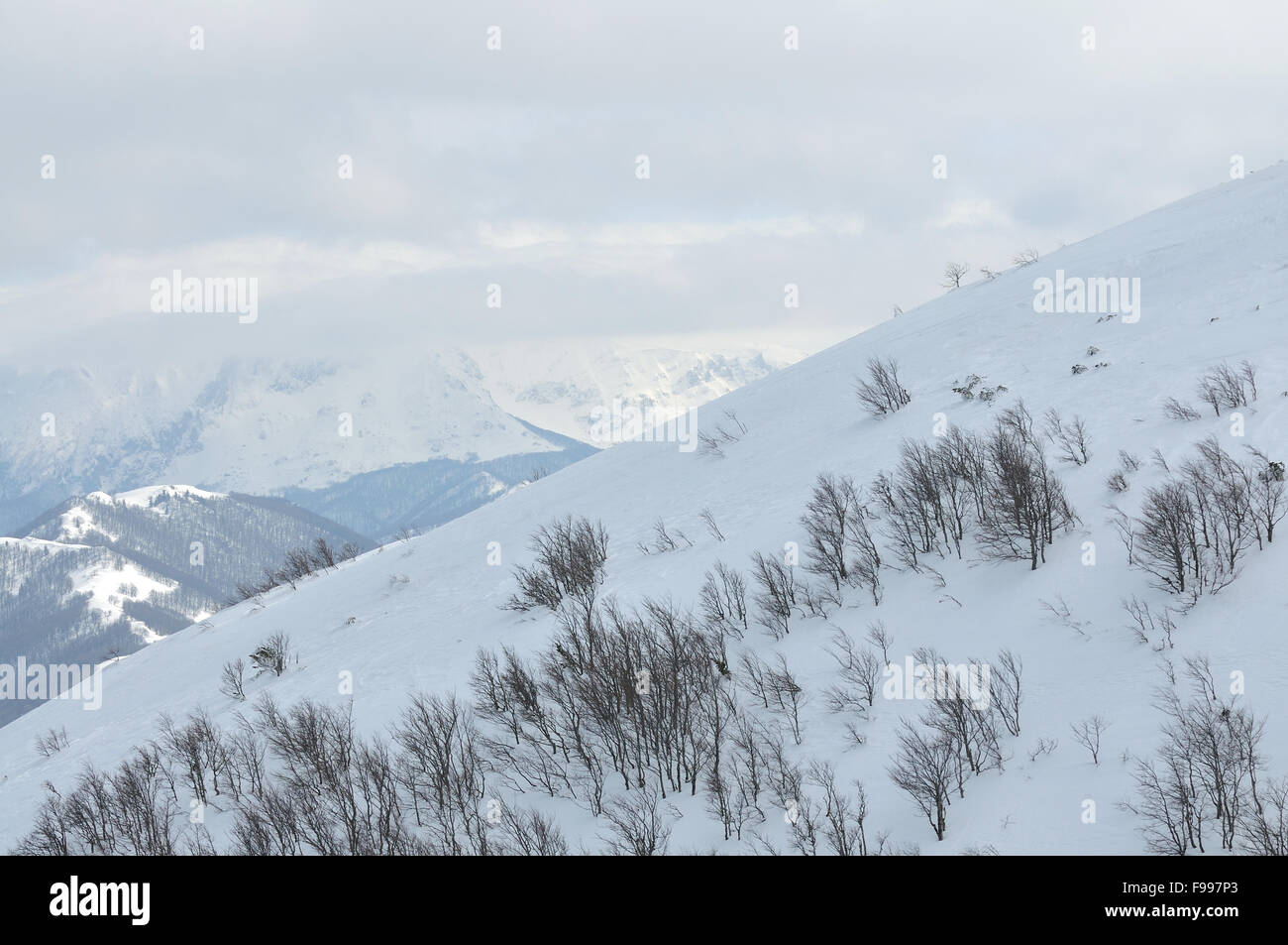beautiful winter season landscape with ice snow and hard winds Stock ...