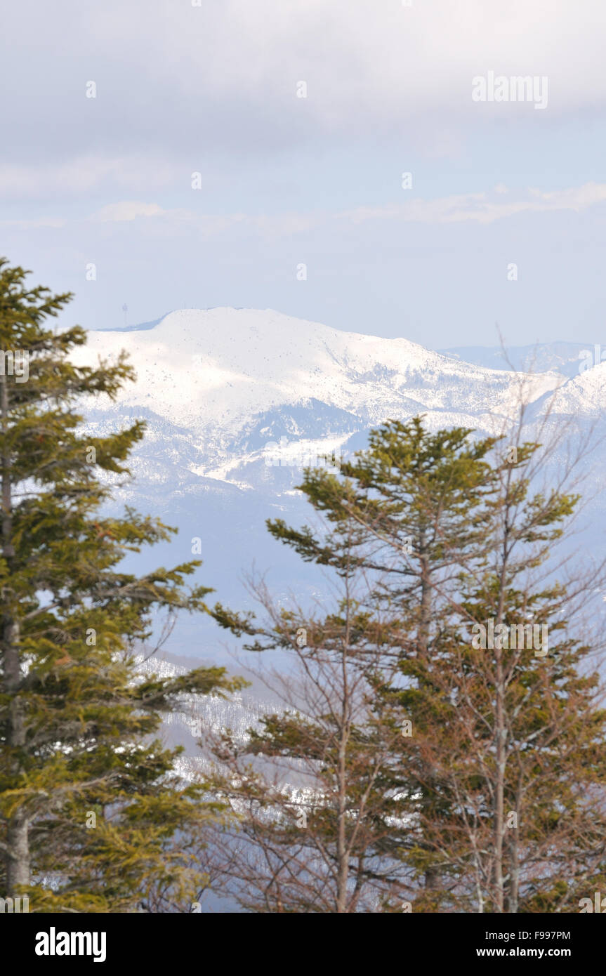 beautiful winter season landscape with ice snow and hard winds Stock ...