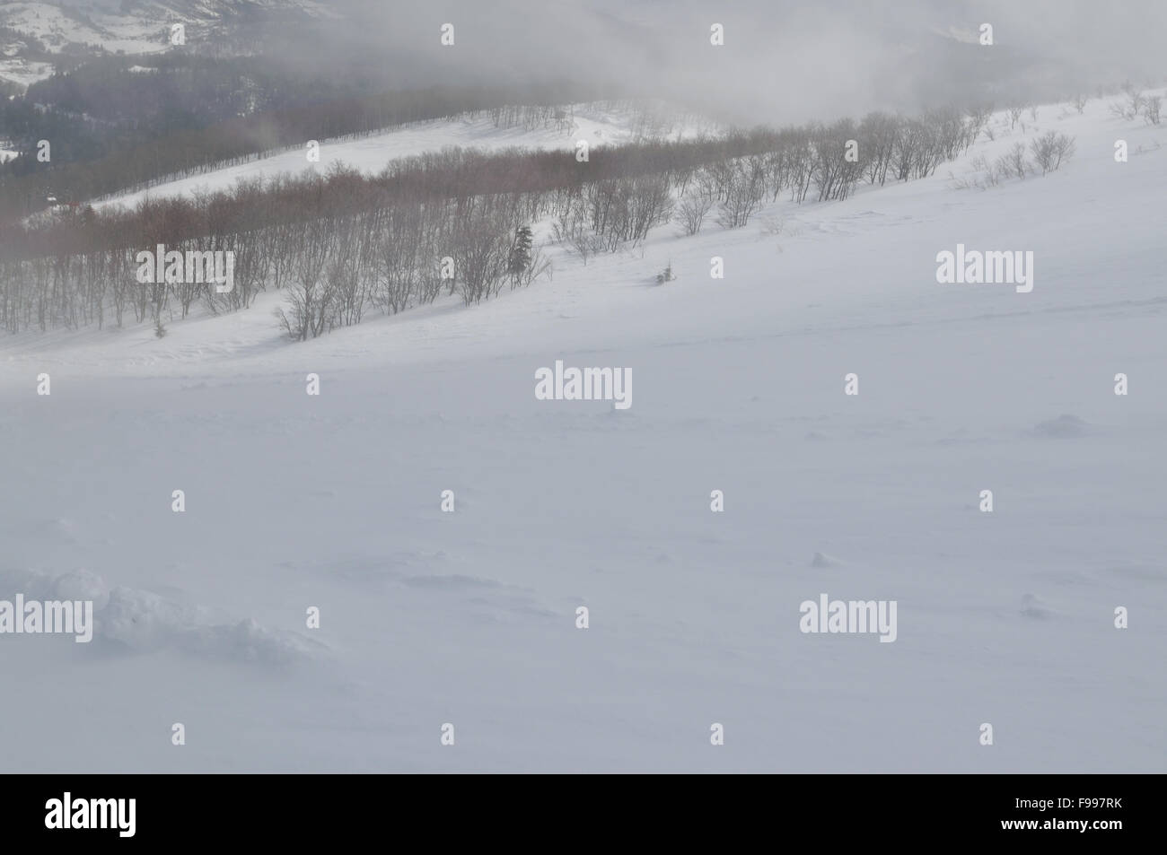 beautiful winter season landscape with ice snow and hard winds Stock ...