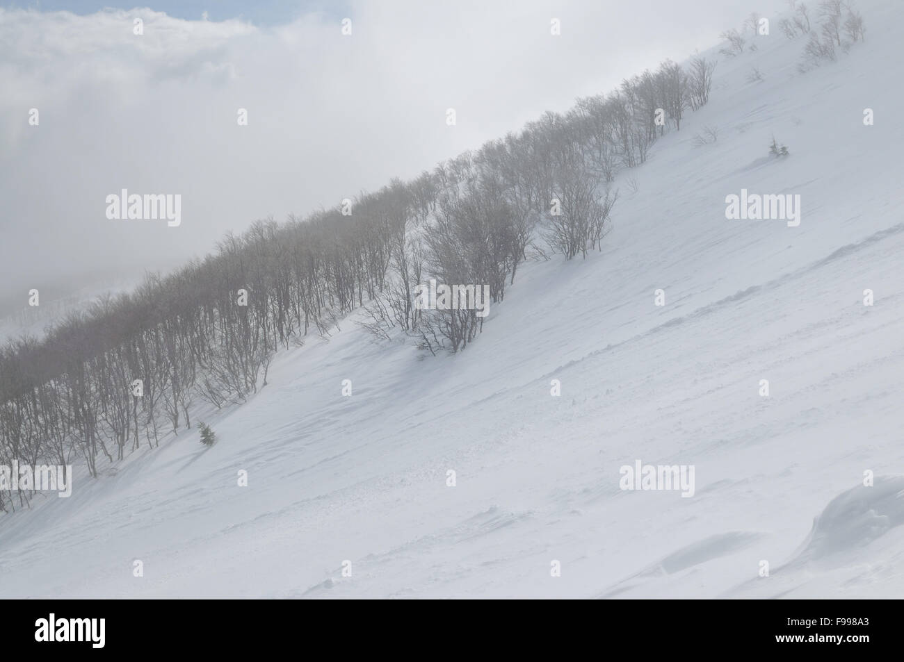 beautiful winter season landscape with ice snow and hard winds Stock ...