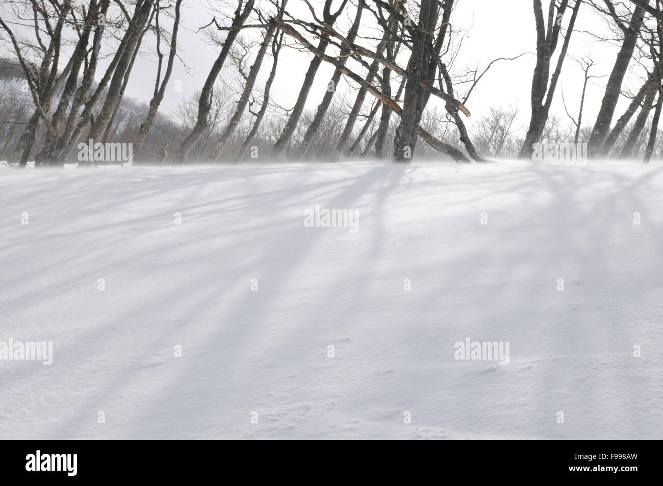 beautiful winter season landscape with ice snow and hard winds Stock ...