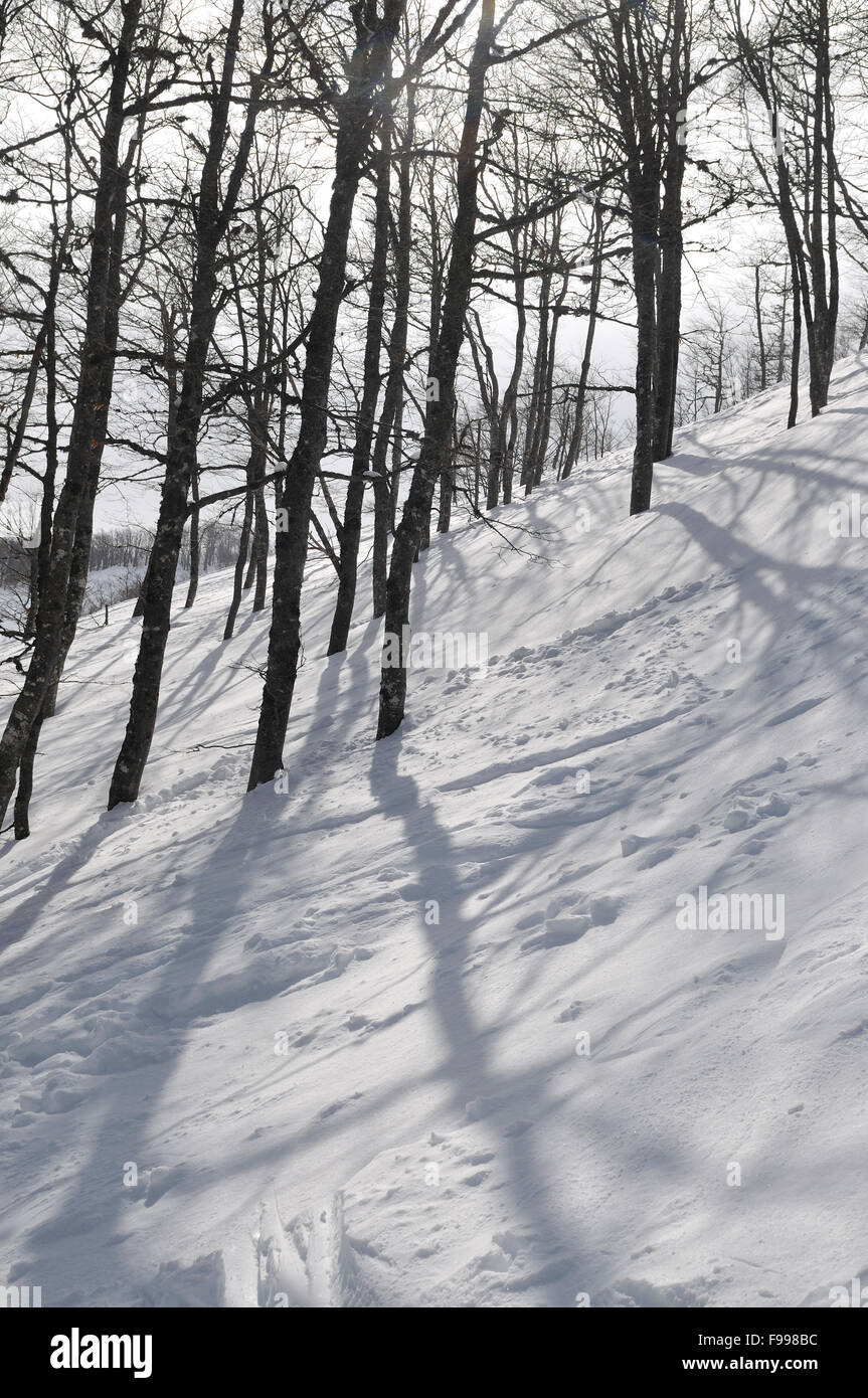 beautiful winter season landscape with ice snow and hard winds Stock ...