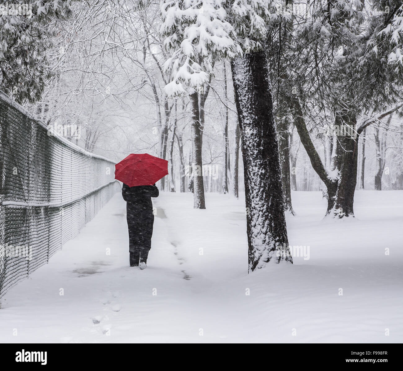 Woman alone walking away in snowstorm, red umbrella snow and black coat ...