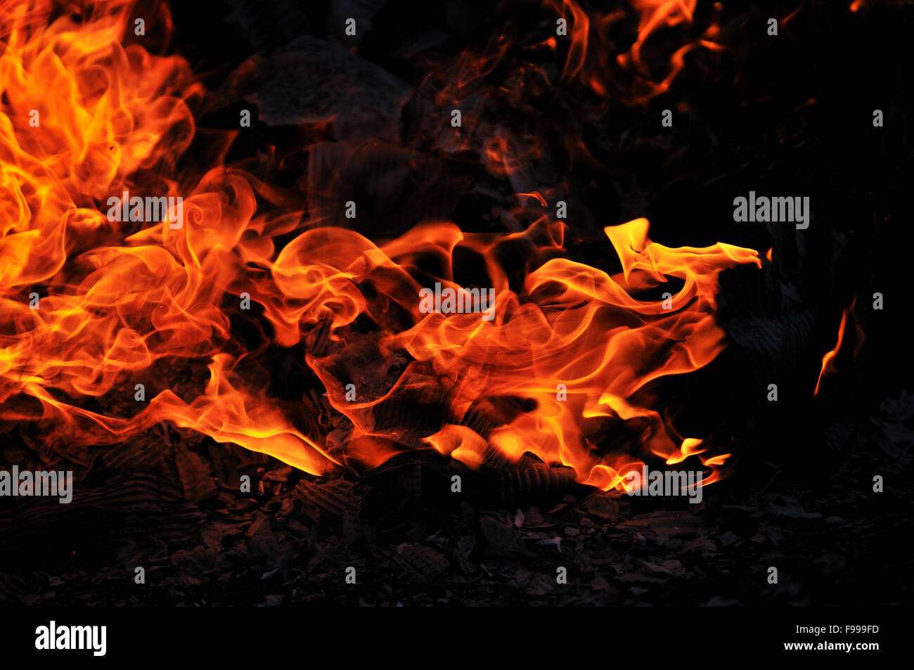 wild fire flames burn hot with black background Stock Photo - Alamy