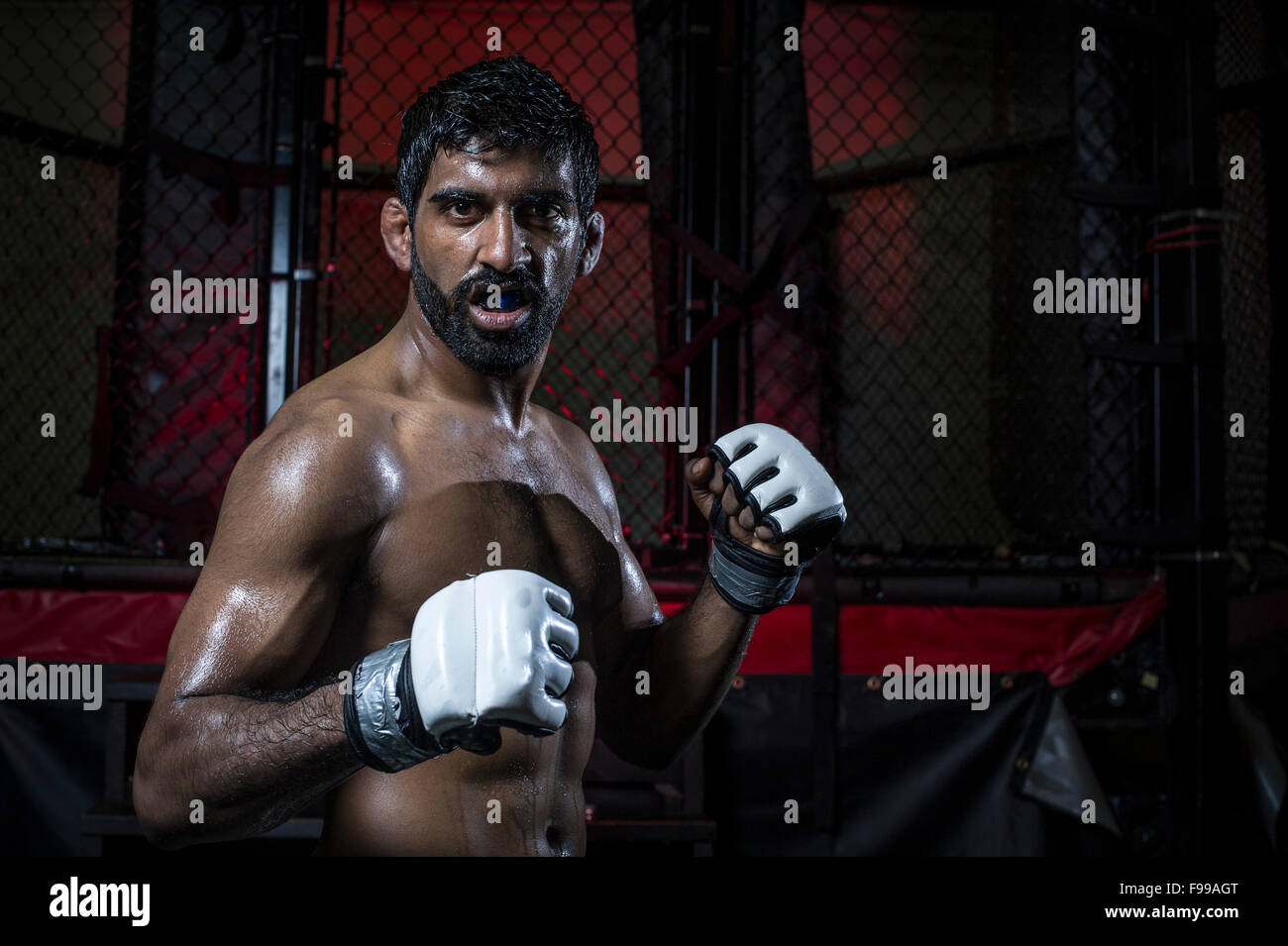 Mixed martial arts fighter Stock Photo - Alamy