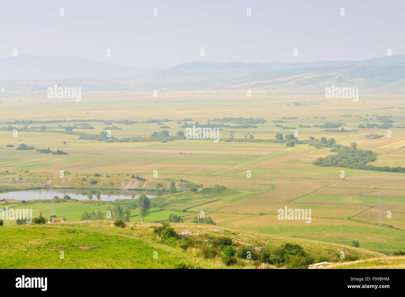 meadow landscape with fog and first morning light Stock Photo - Alamy