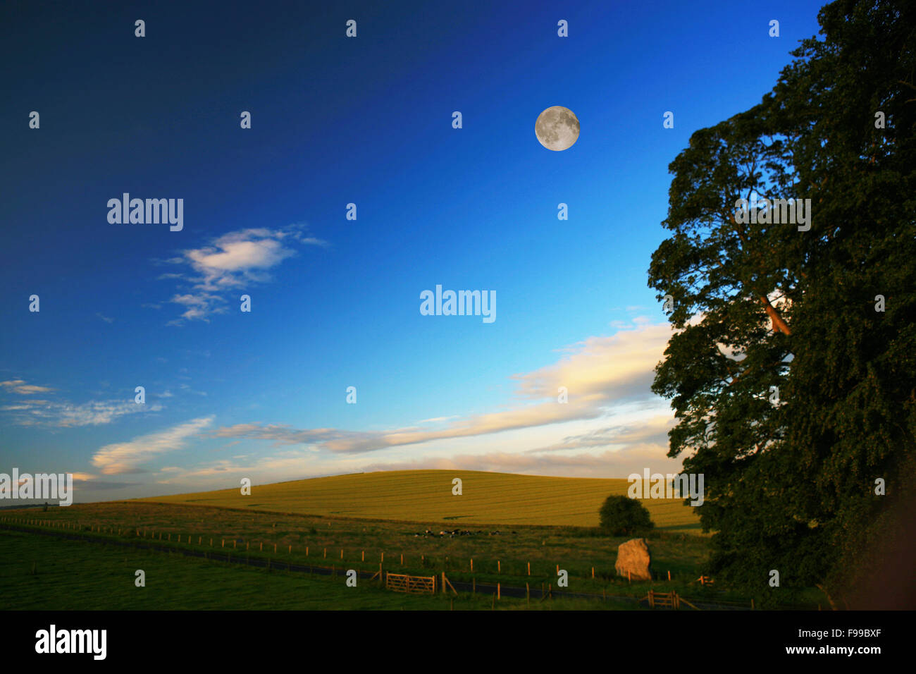 Moon stones hi-res stock photography and images - Alamy