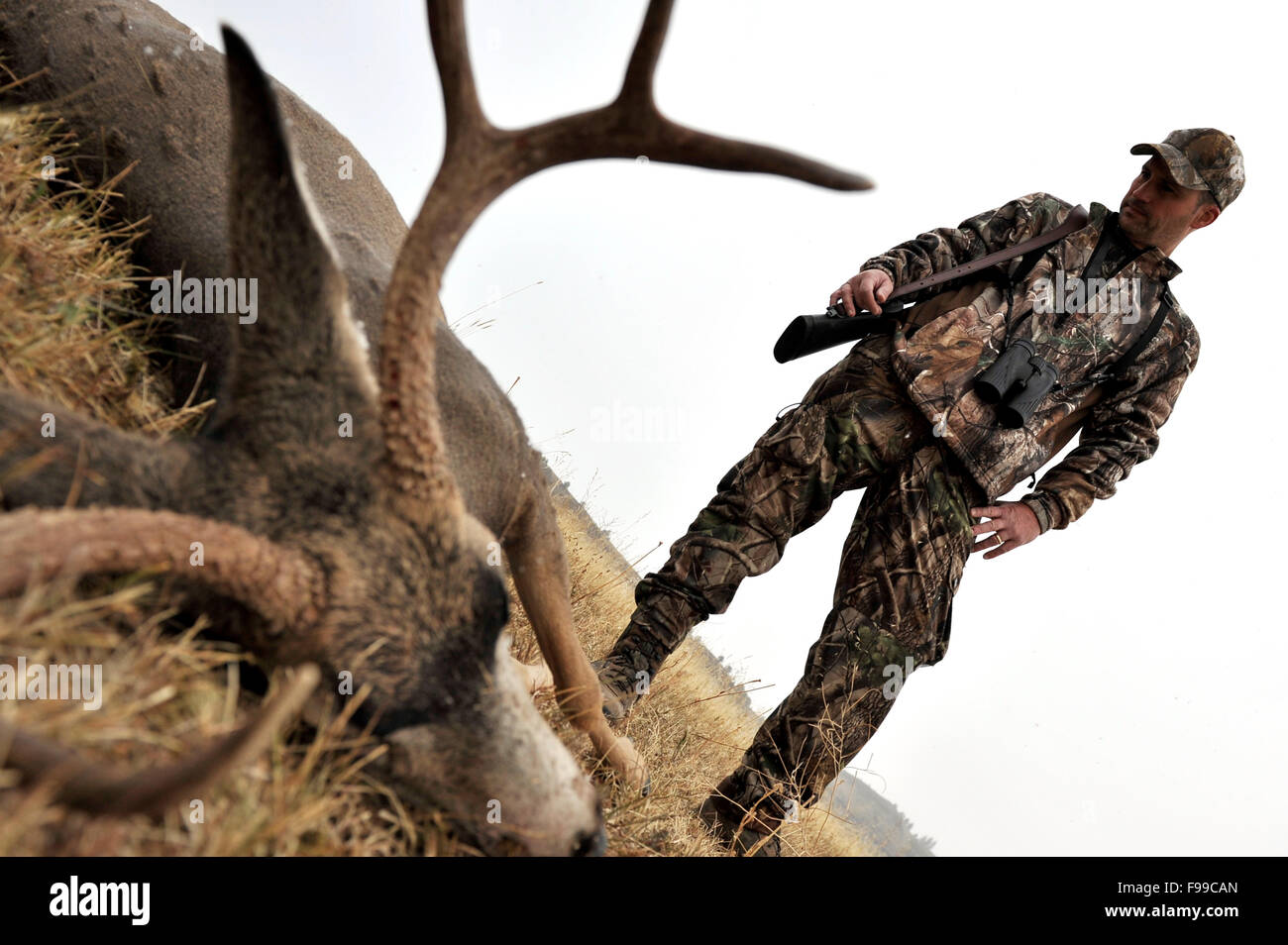 Hunting in Oregon Stock Photo - Alamy