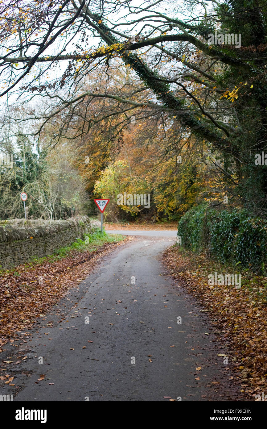 Countryside Changing tree in the Fall/Autumn in England Stock Photo - Alamy