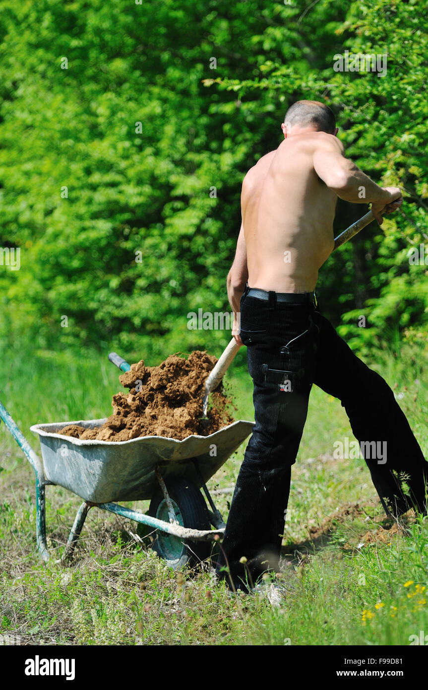 healthy good looking fit adult man outdoor working in garden Stock ...
