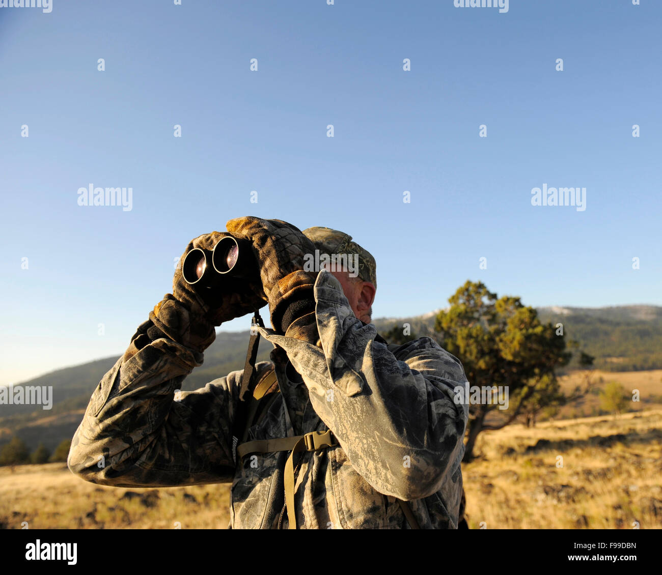 Hunting in Oregon Stock Photo - Alamy