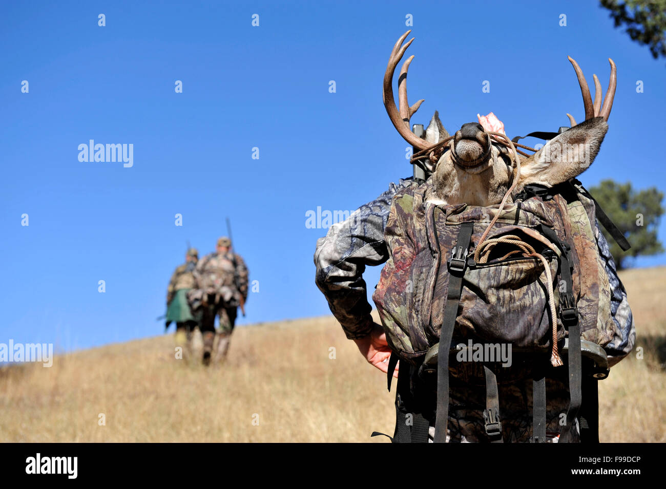 Hunting in Oregon Stock Photo - Alamy