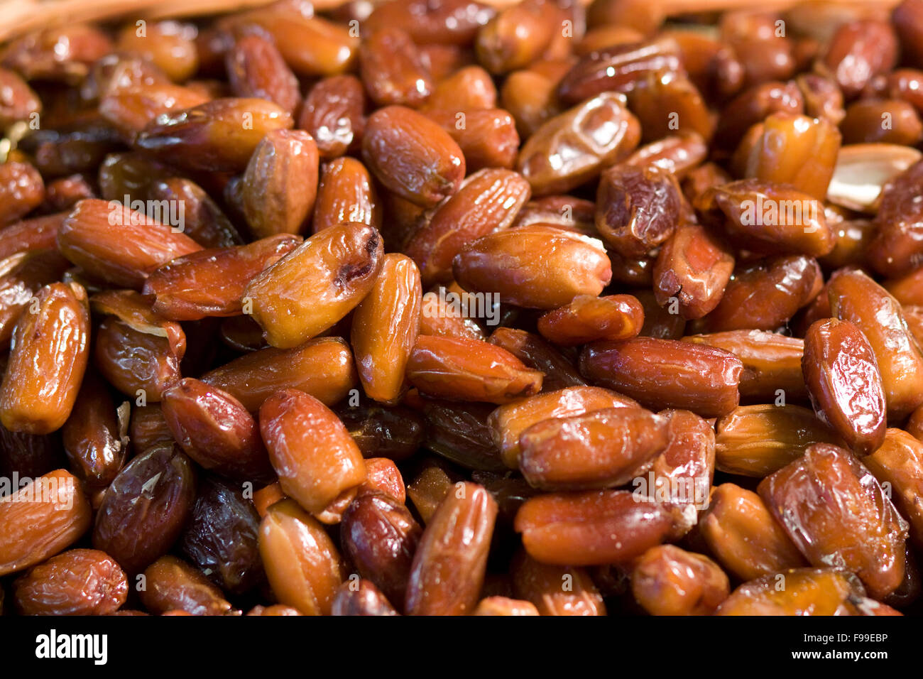 Phoenix dactylifera palm dates Stock Photo - Alamy