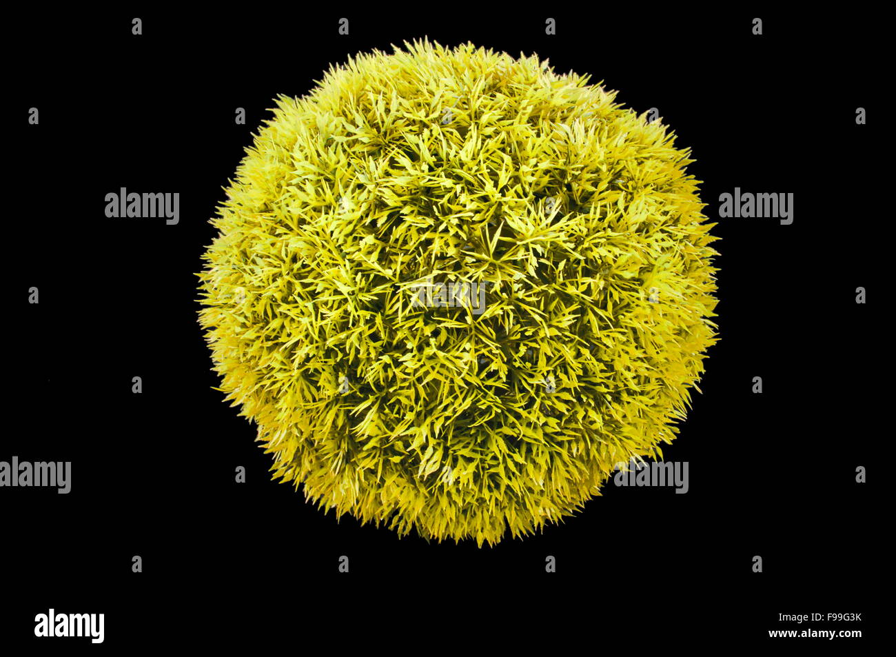 Big yellow ball Stock Photo - Alamy