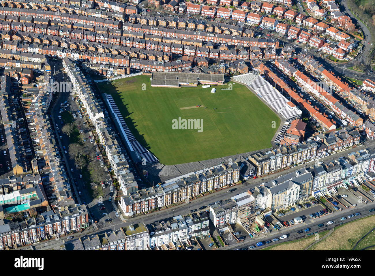 Photograph Of A Cricket High Resolution Stock Photography and Images ...
