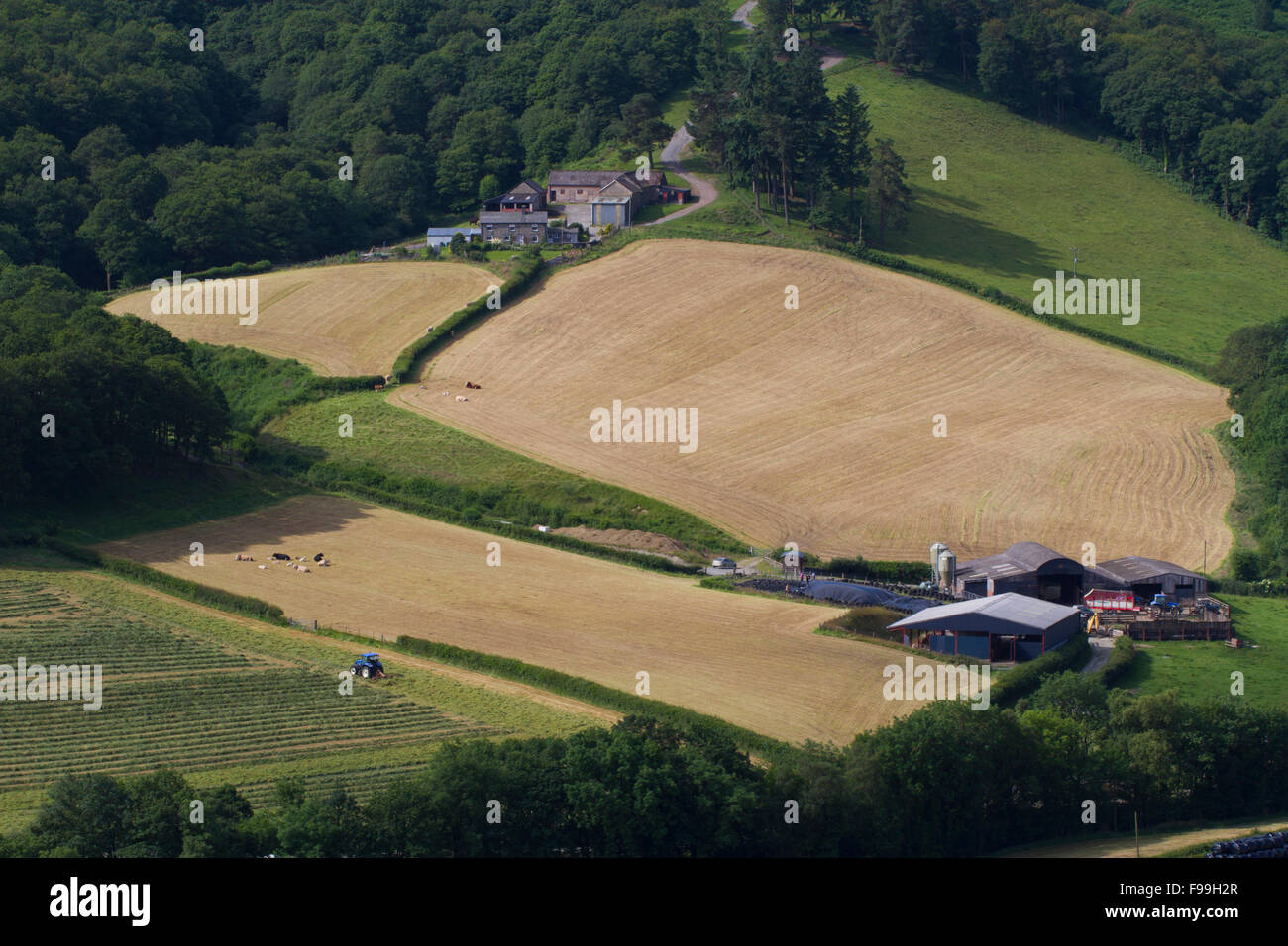 Landscape - farm with fields cut and cleared for silage. Upper Severn ...