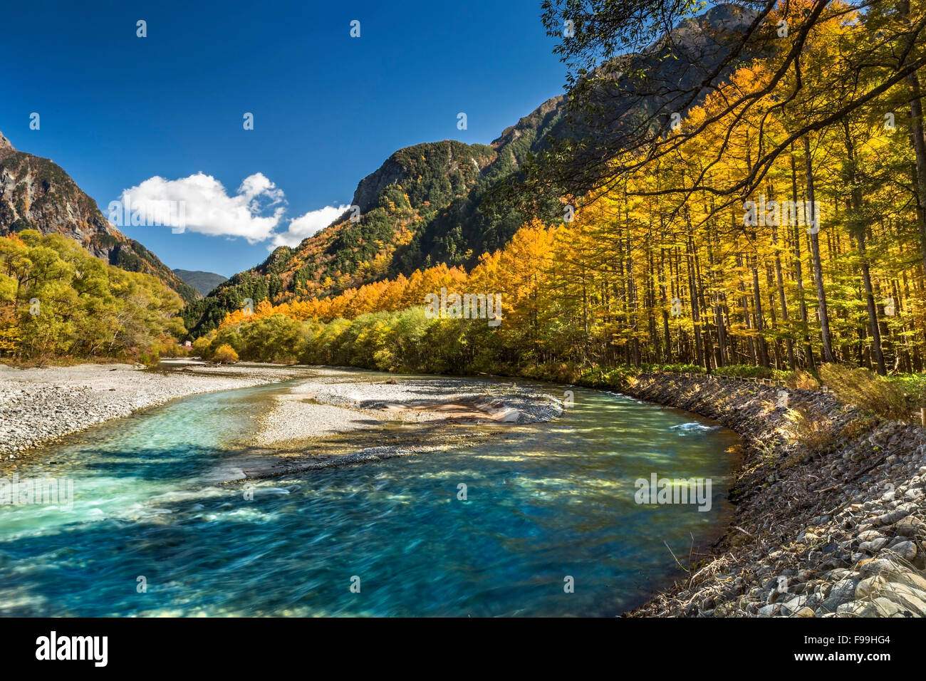 River in the forest Stock Photo - Alamy