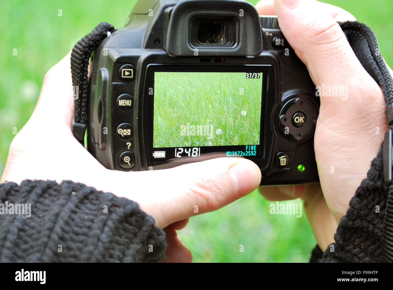 Camera Display With Plants Stock Photo - Alamy