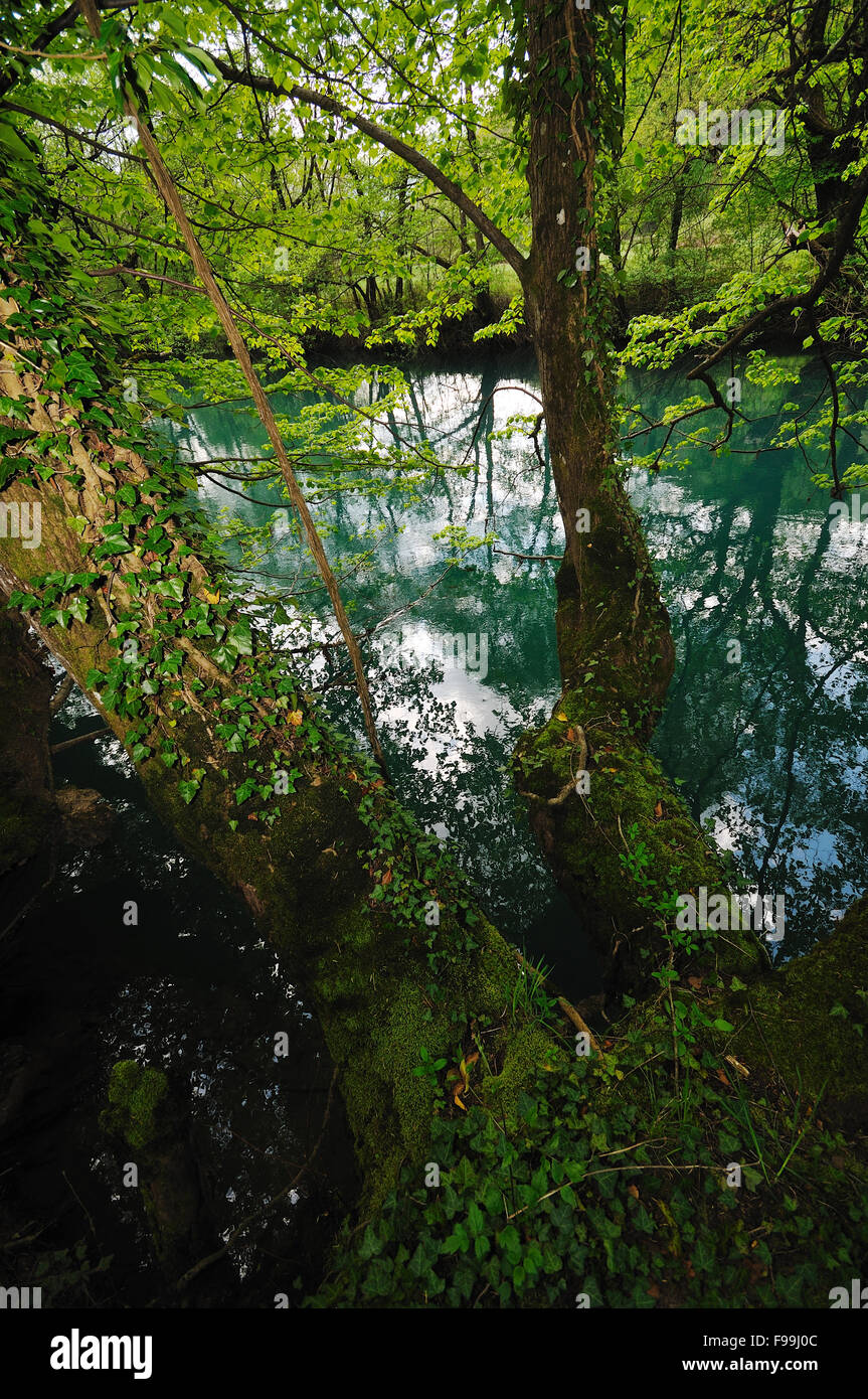 beautiful nature scene with river and waterfall at spring seasson Stock ...