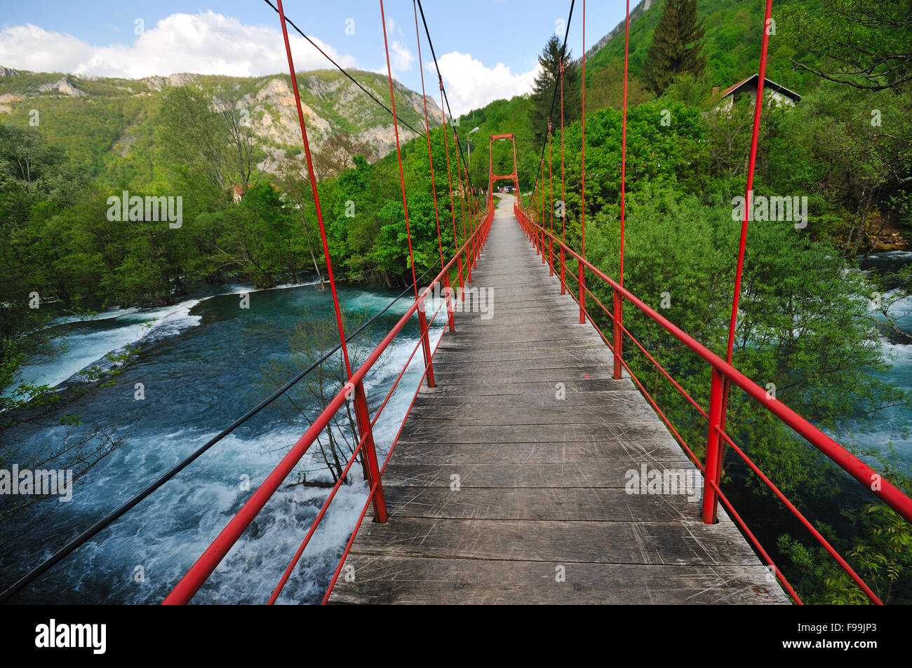 beautiful bridge in nature over wild river Stock Photo - Alamy